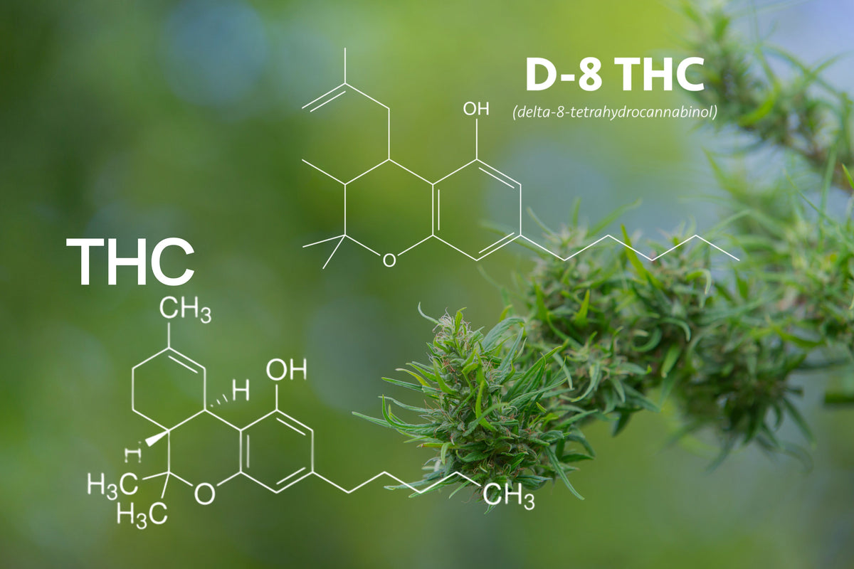 What Makes Delta 8 Different from THC? A Beginner’s Guide – Shipping Dept