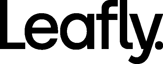 Buy Delta 8, HHC, THCO, THCP, HHCP and THCA Online | Unicorn Brand